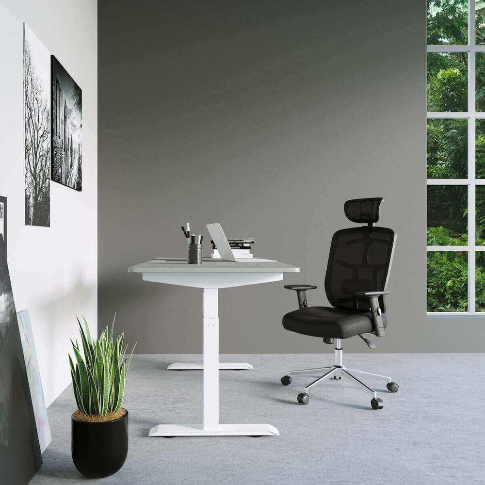 Techni Mobili High Back Executive Mesh Office Chair with Arms, Lumbar ...